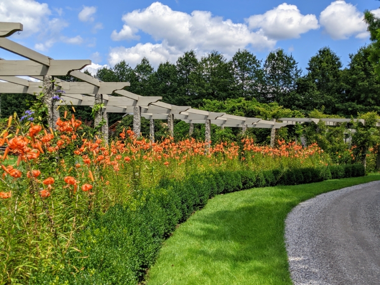 My Long Pergola in Summer - The Martha Stewart Blog