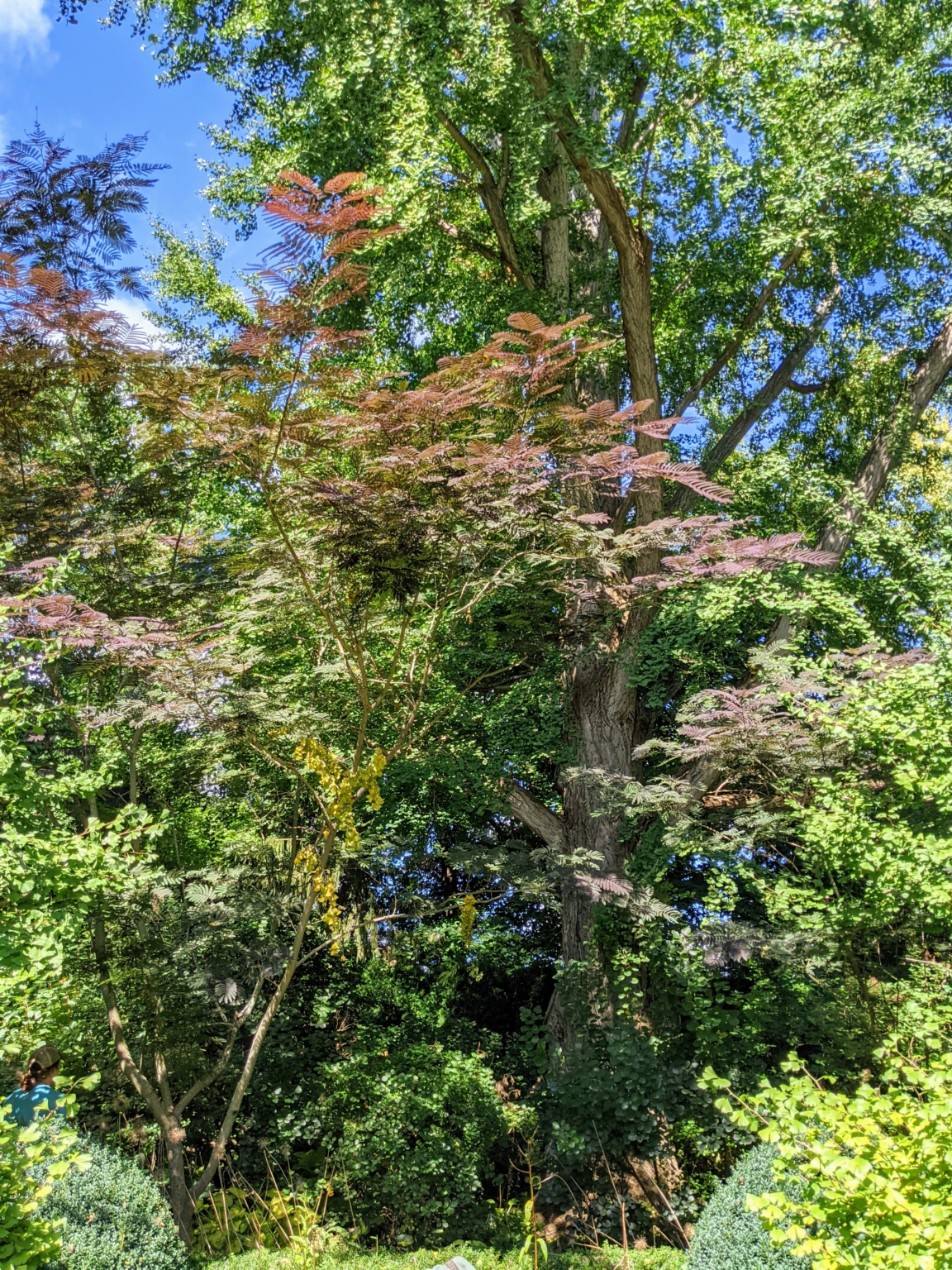 Grooming My Summer House Garden - The Martha Stewart Blog