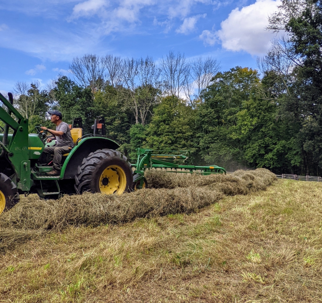 This Year's Second Cut of Hay - The Martha Stewart Blog