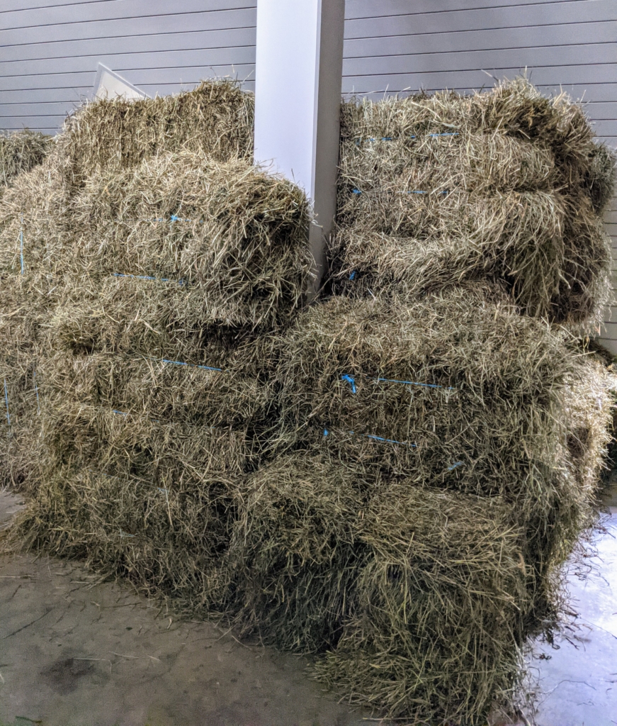 Baling the Second Cut of Hay - The Martha Stewart Blog