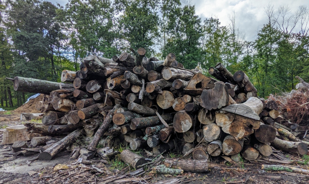 Recycling Felled Trees from the Farm - The Martha Stewart Blog