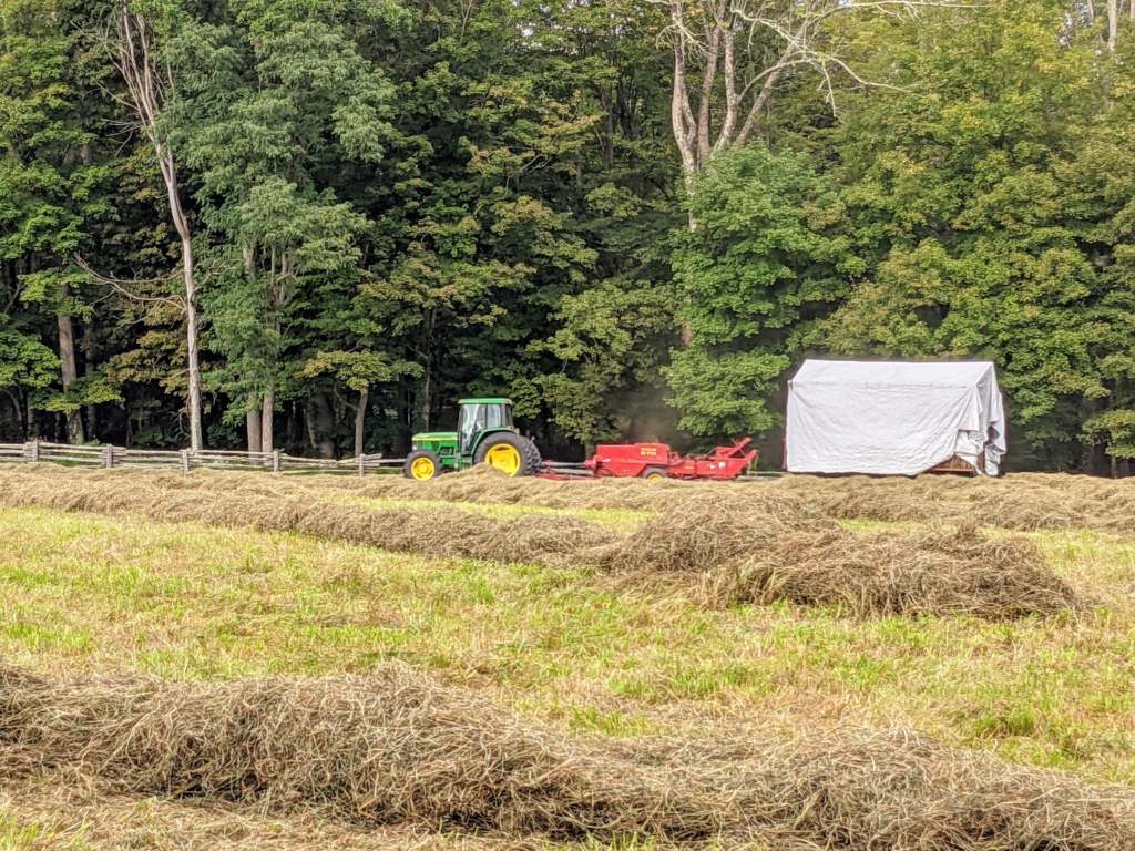 Baling the Second Cut of Hay - The Martha Stewart Blog