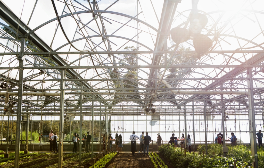 Harvest Feast at Stone Barns Center for Food & Agriculture - The Martha ...