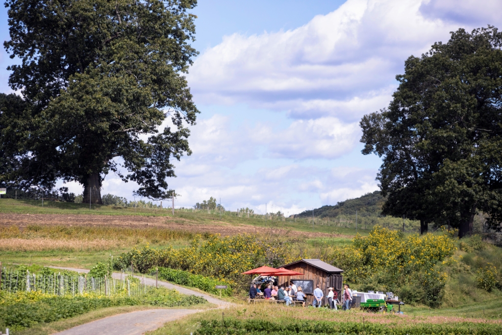 Harvest Feast at Stone Barns Center for Food & Agriculture - The Martha ...