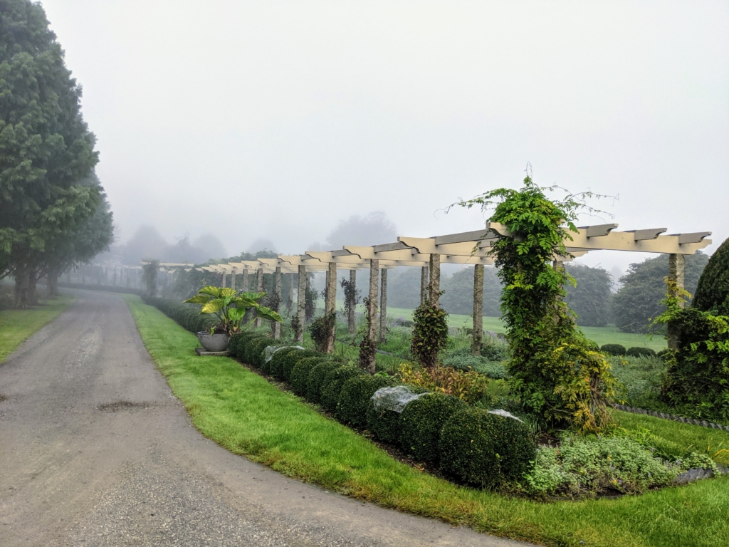 Fog Over the Farm - The Martha Stewart Blog