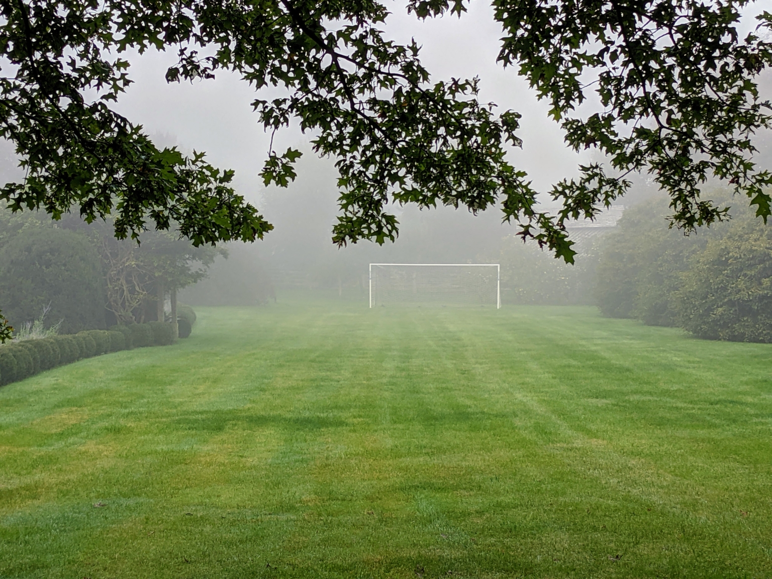 Fog Over the Farm - The Martha Stewart Blog