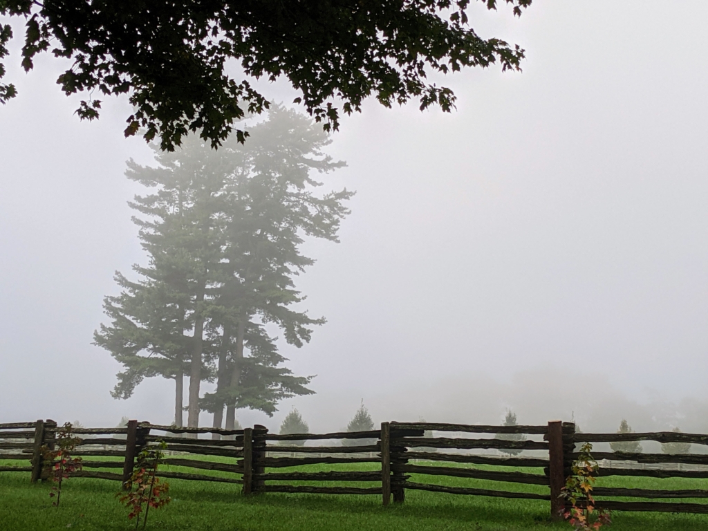 Fog Over the Farm - The Martha Stewart Blog