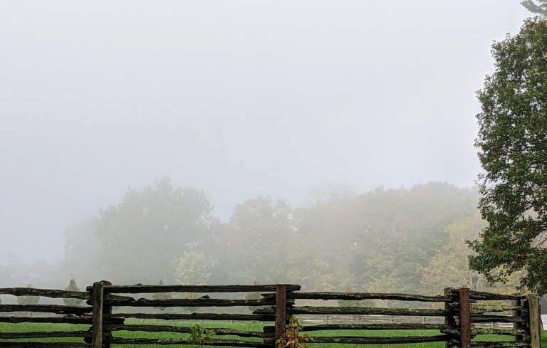 The Martha Stewart Blog : Blog Archive Fog Over the Farm - The Martha ...