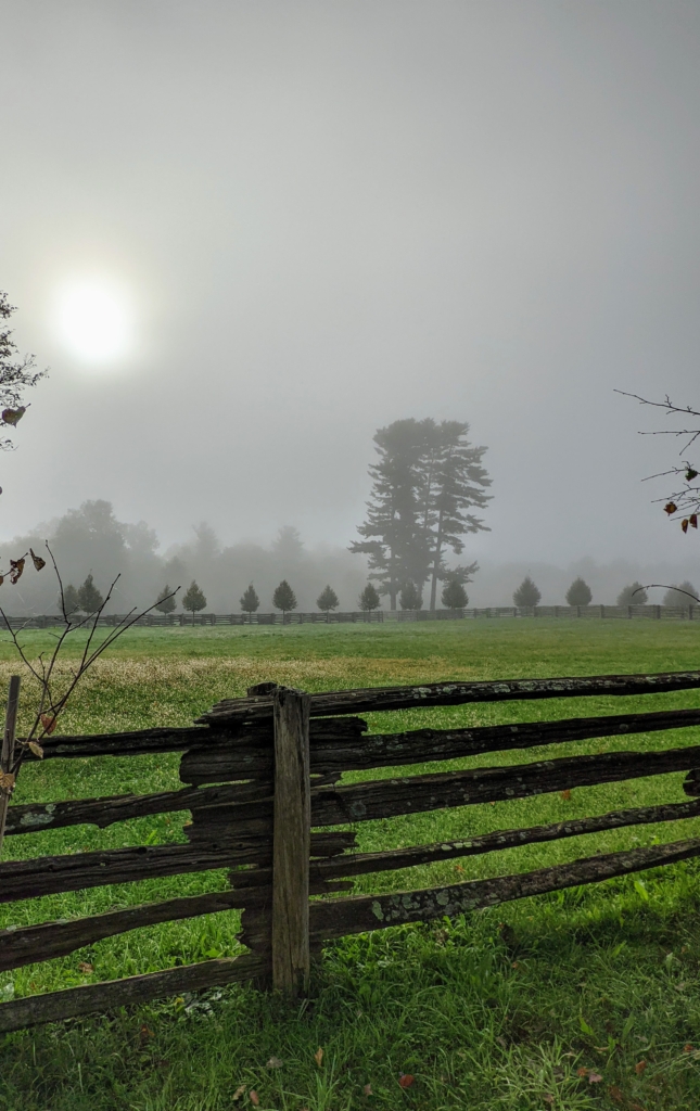Fog Over the Farm - The Martha Stewart Blog