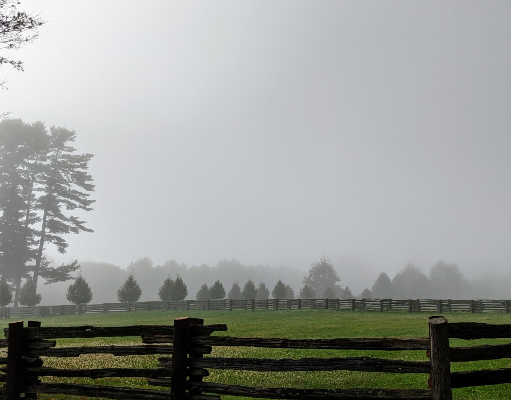 The Martha Stewart Blog : Blog Archive Fog Over the Farm - The Martha ...