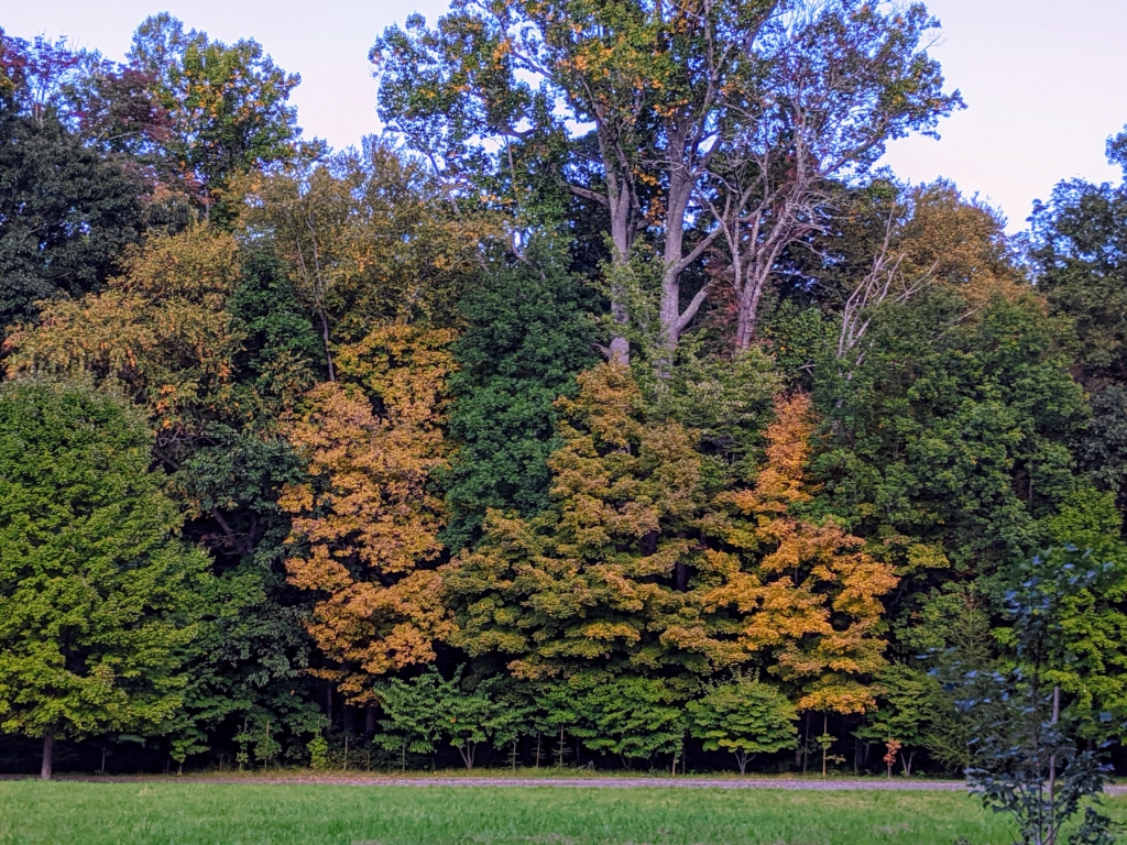 Early Fall Colors - The Martha Stewart Blog