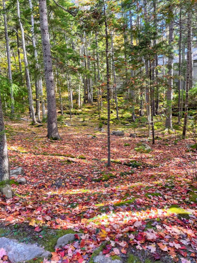 Autumn Photos Around Skylands - The Martha Stewart Blog