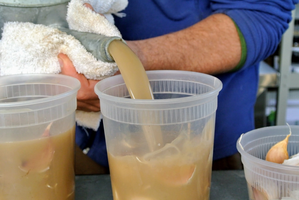 Planting Next Year's Garlic Crop - The Martha Stewart Blog