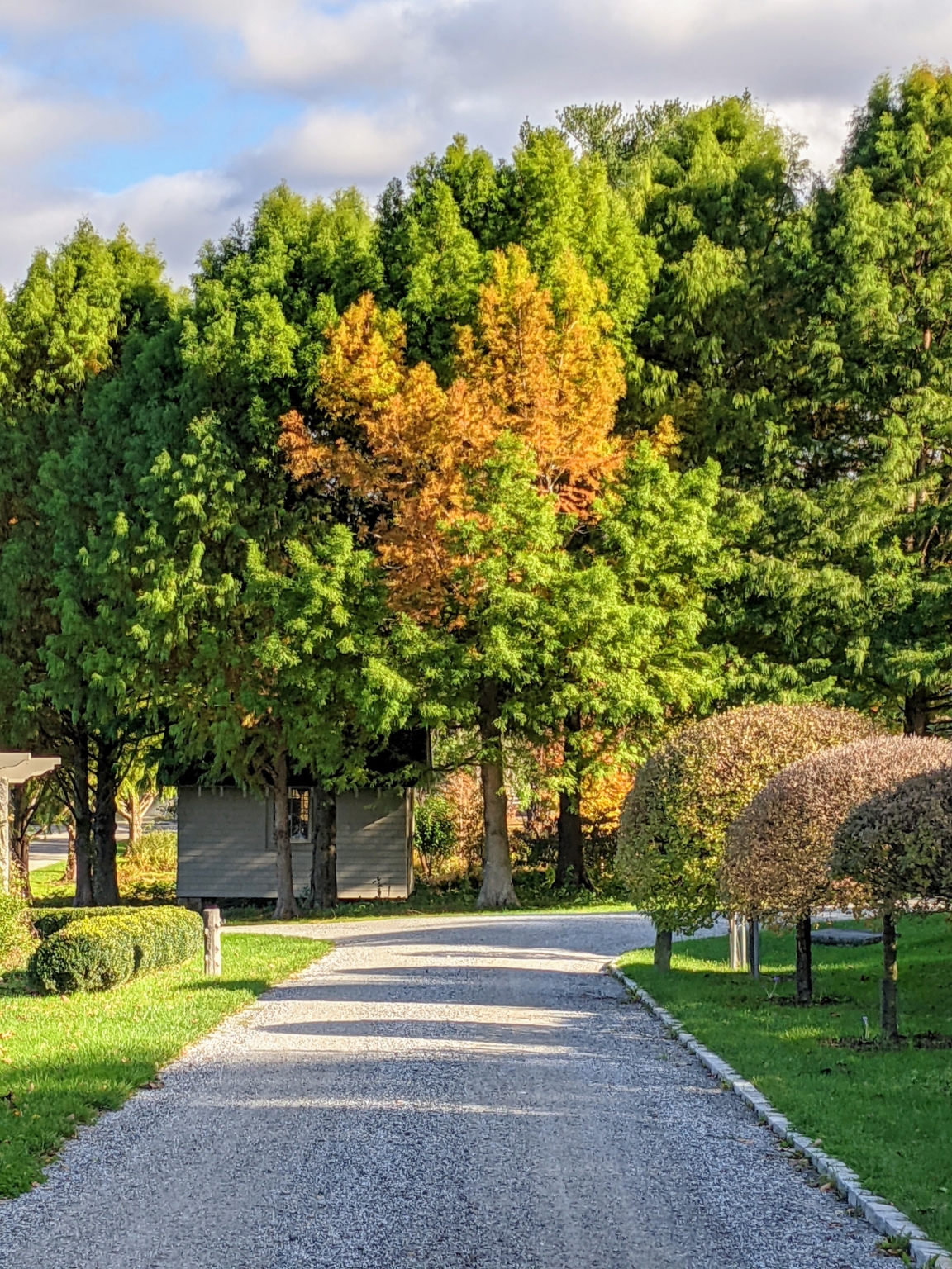 The Martha Stewart Blog : Blog Archive More Autumn Colors at the Farm ...