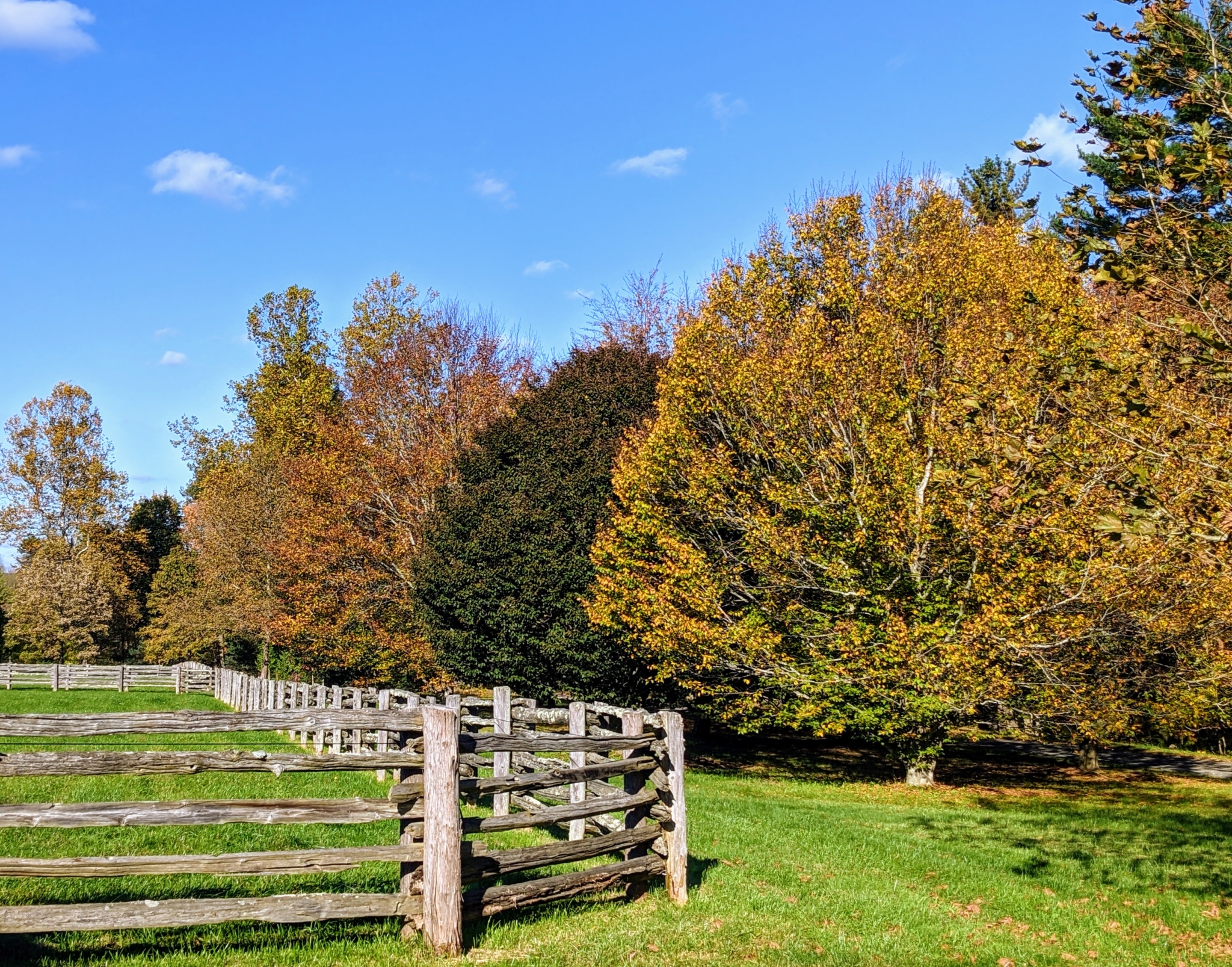 The Martha Stewart Blog : Blog Archive More Autumn Colors at the Farm ...