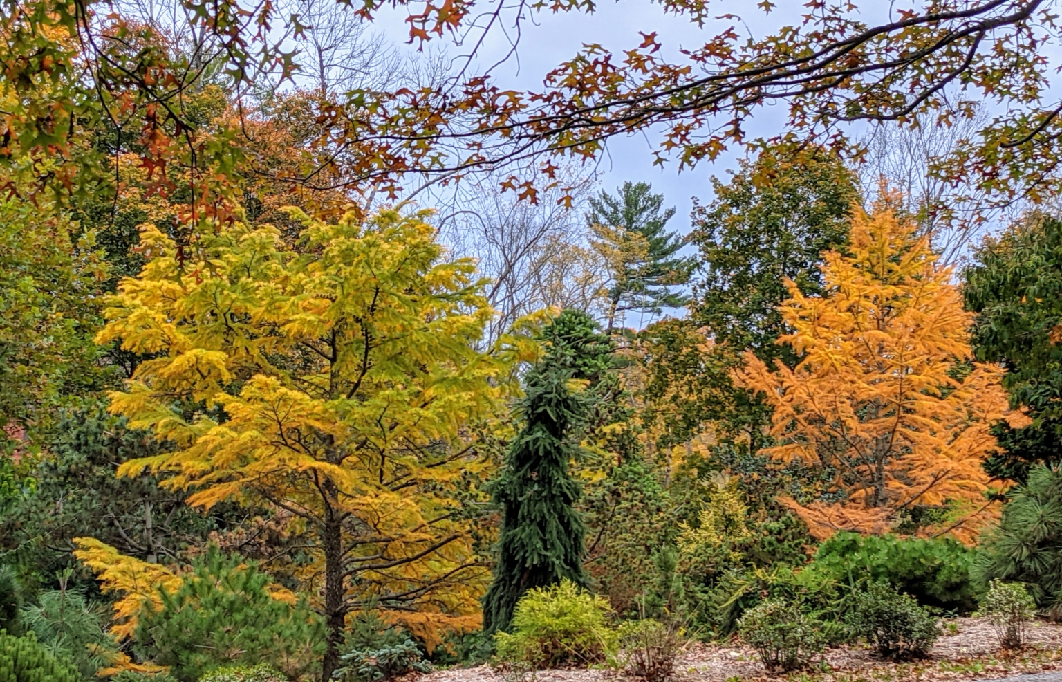 More Autumn Colors at the Farm - The Martha Stewart Blog