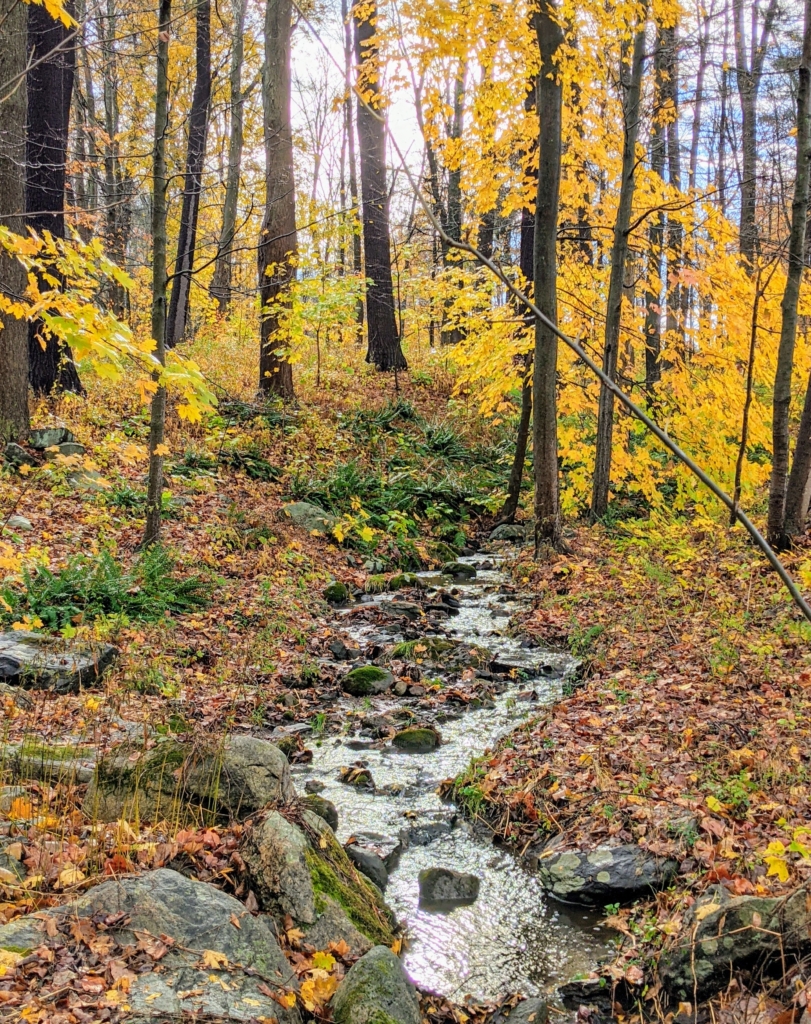 November Colors Around the Farm - The Martha Stewart Blog