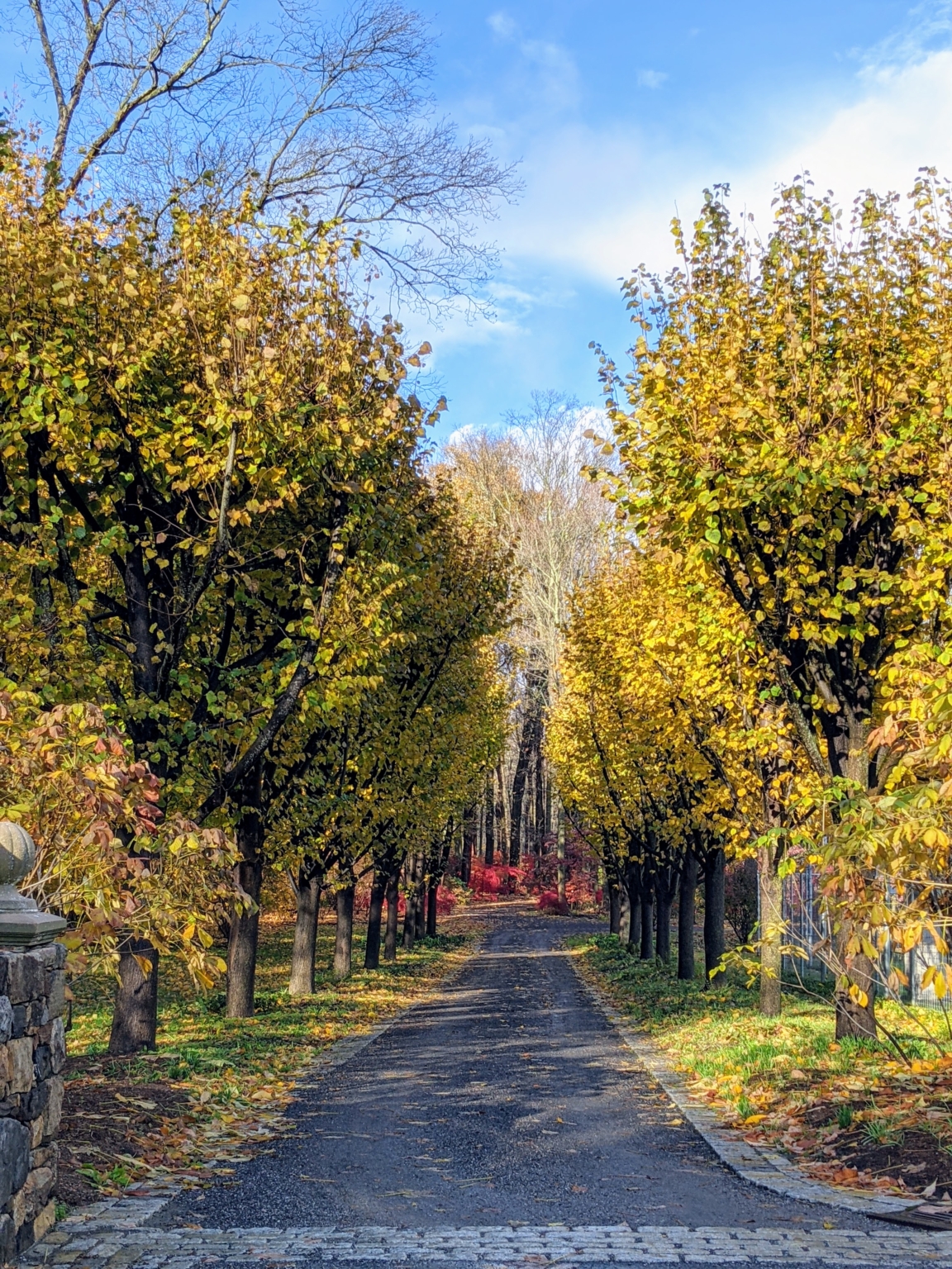 November Colors Around the Farm - The Martha Stewart Blog
