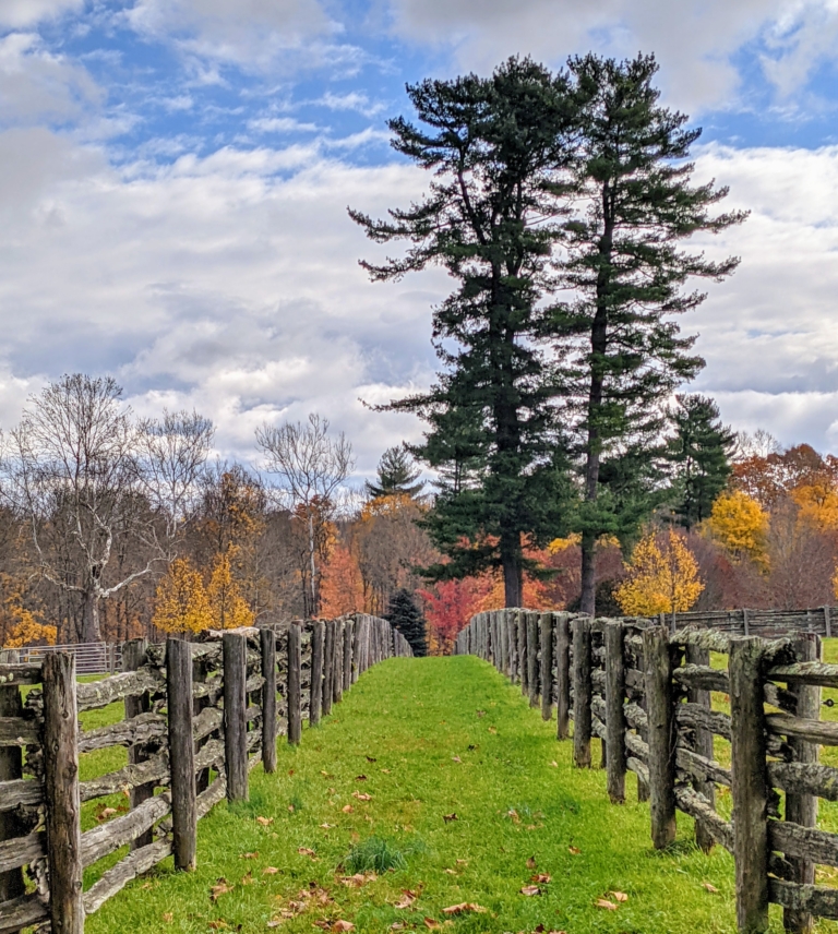 November Colors Around the Farm - The Martha Stewart Blog