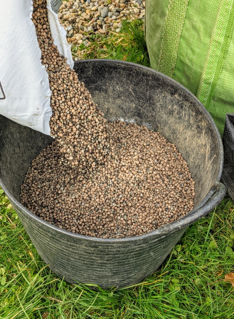 The Martha Stewart Blog : Blog Archive Growing Boxwood from Cuttings ...