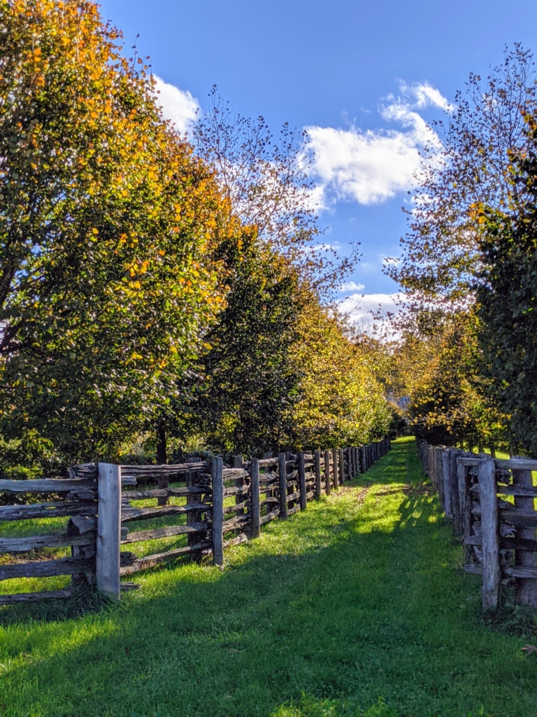 More Autumn Colors at the Farm - The Martha Stewart Blog