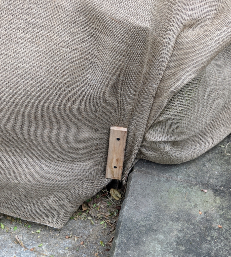 "Burlapping" the Boxwood in My Summer House Garden - The Martha Stewart ...