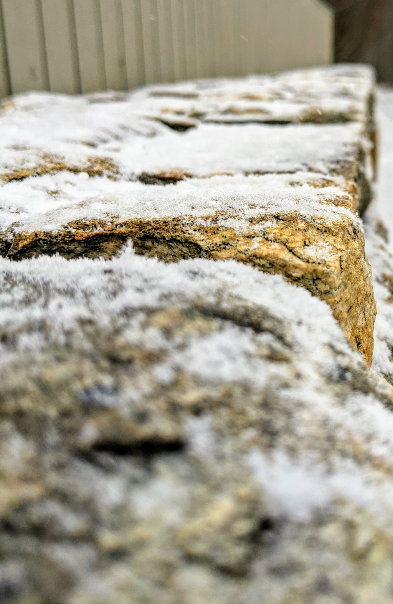 A Light Snow Covers My Farm - The Martha Stewart Blog
