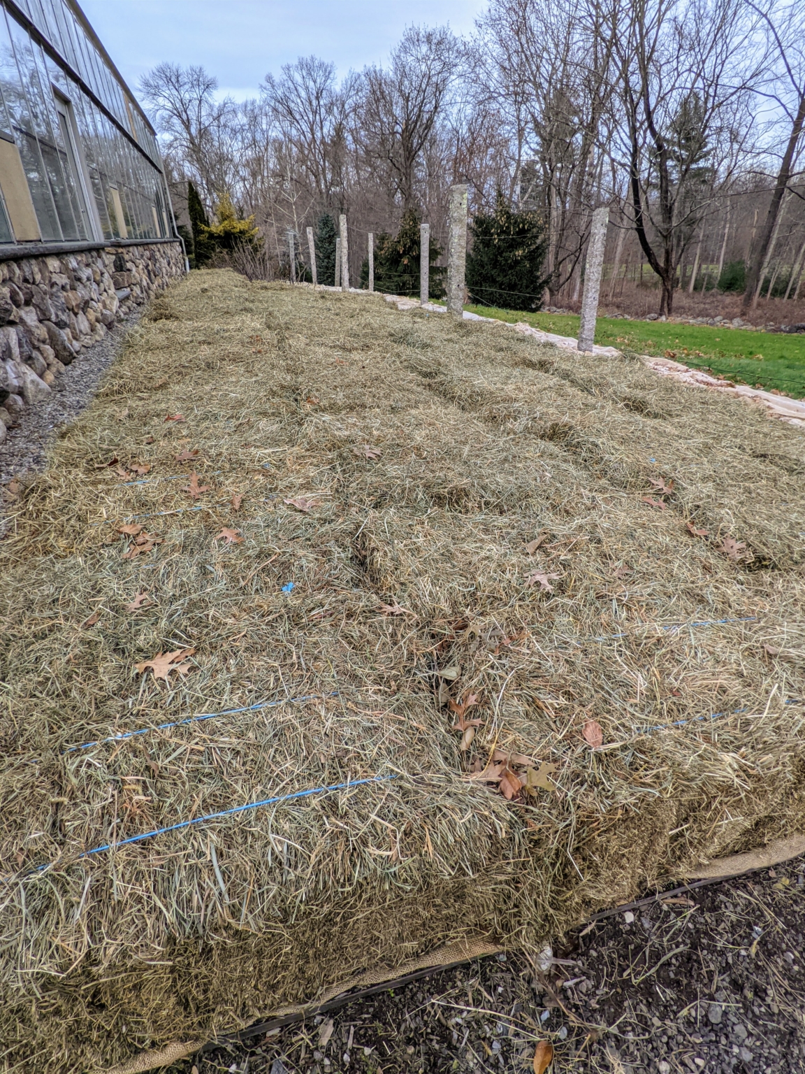 The Martha Stewart Blog : Blog Archive Protecting My Dahlias for the ...