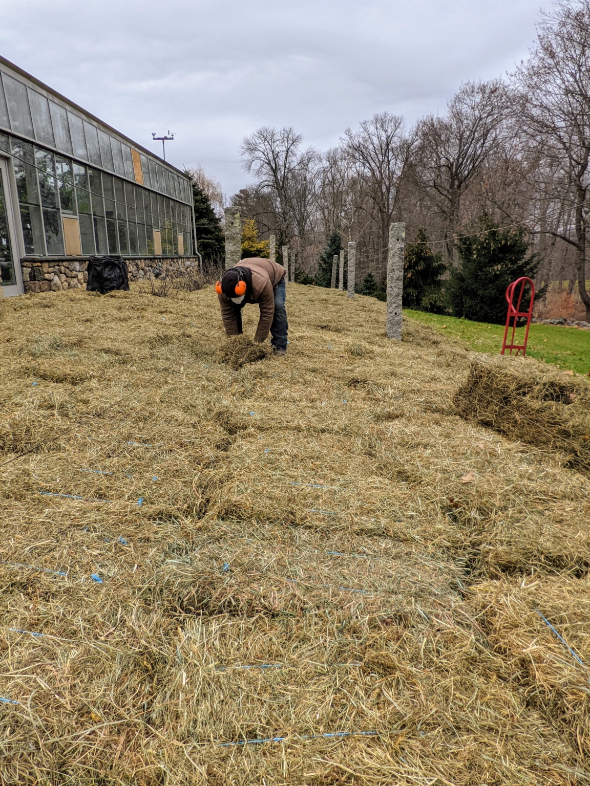 The Martha Stewart Blog : Blog Archive Protecting My Dahlias for the ...