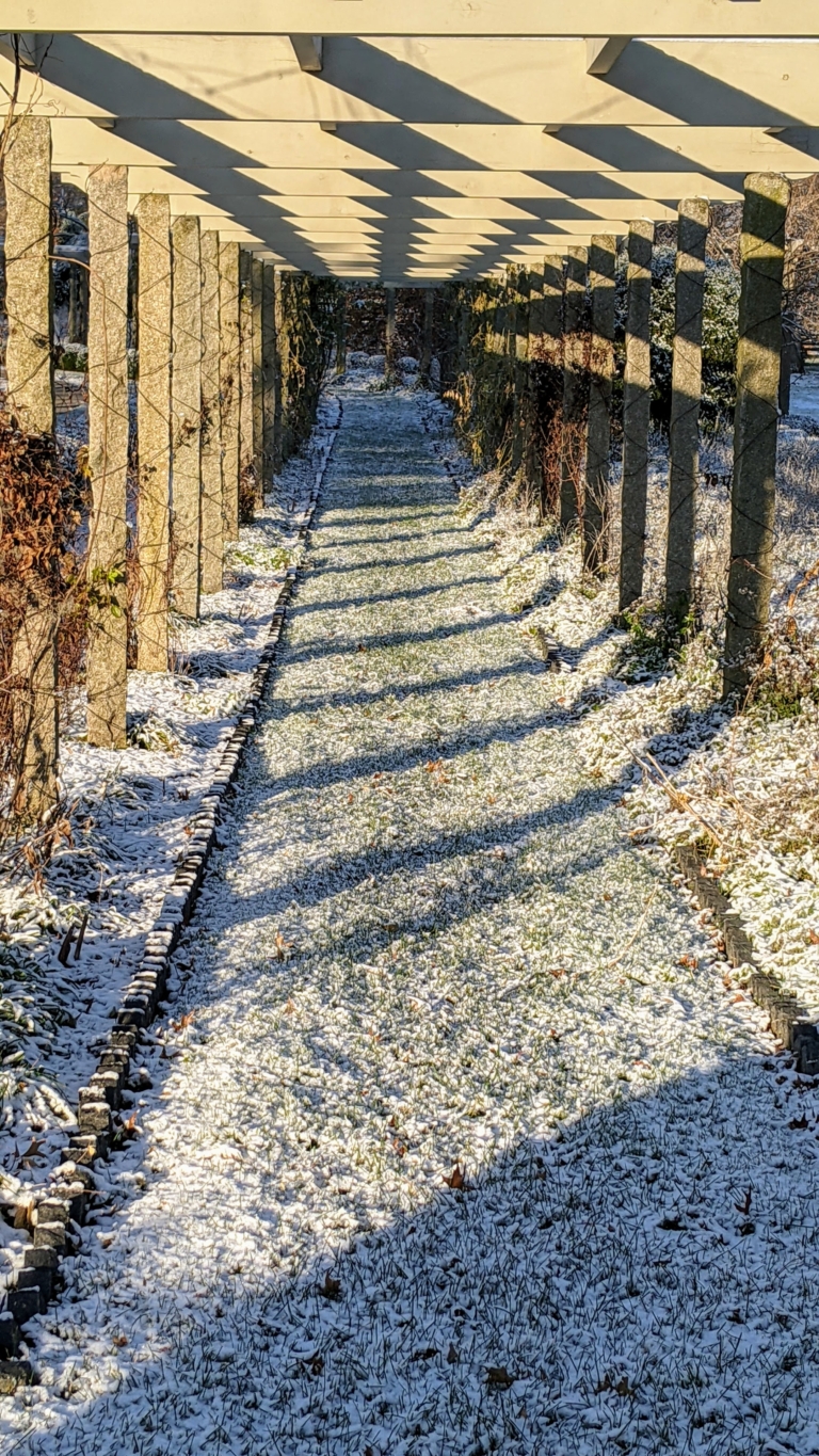A Light Snow Covers My Farm - The Martha Stewart Blog