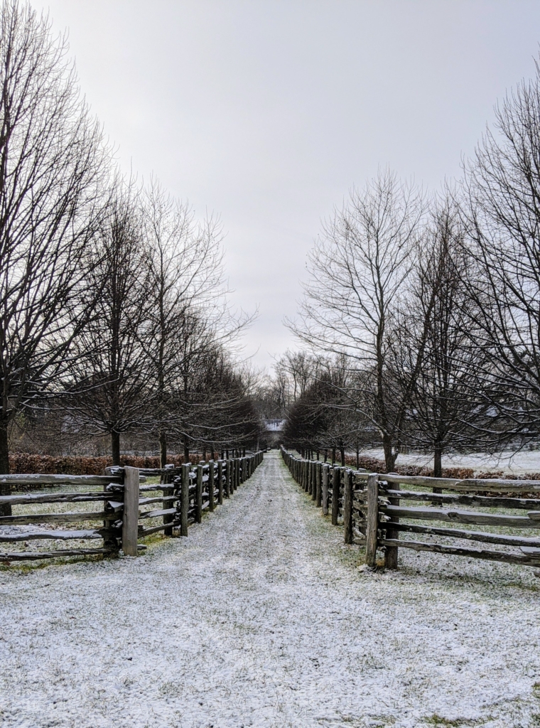 A Light Snow Covers My Farm - The Martha Stewart Blog