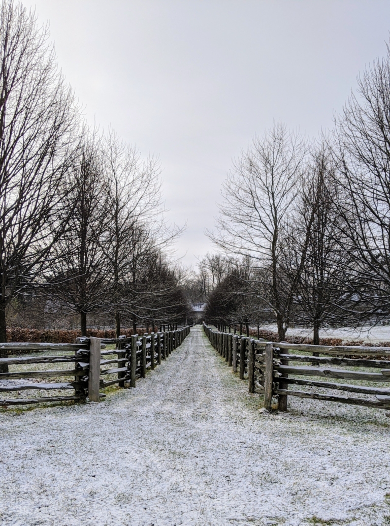 A Light Snow Covers My Farm - The Martha Stewart Blog