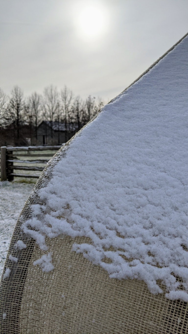 A Light Snow Covers My Farm - The Martha Stewart Blog