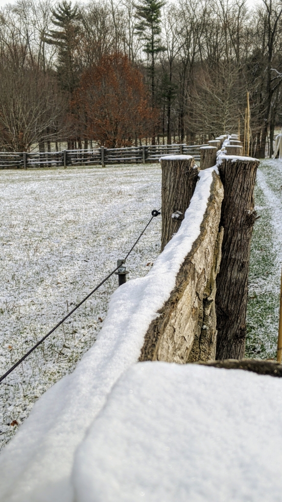 A Light Snow Covers My Farm - The Martha Stewart Blog