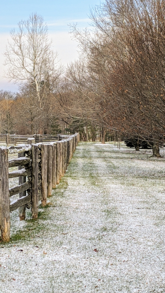 A Light Snow Covers My Farm - The Martha Stewart Blog