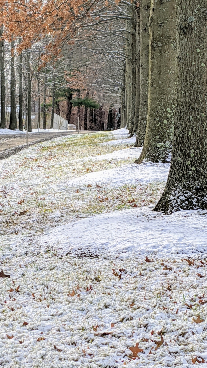 A Light Snow Covers My Farm - The Martha Stewart Blog