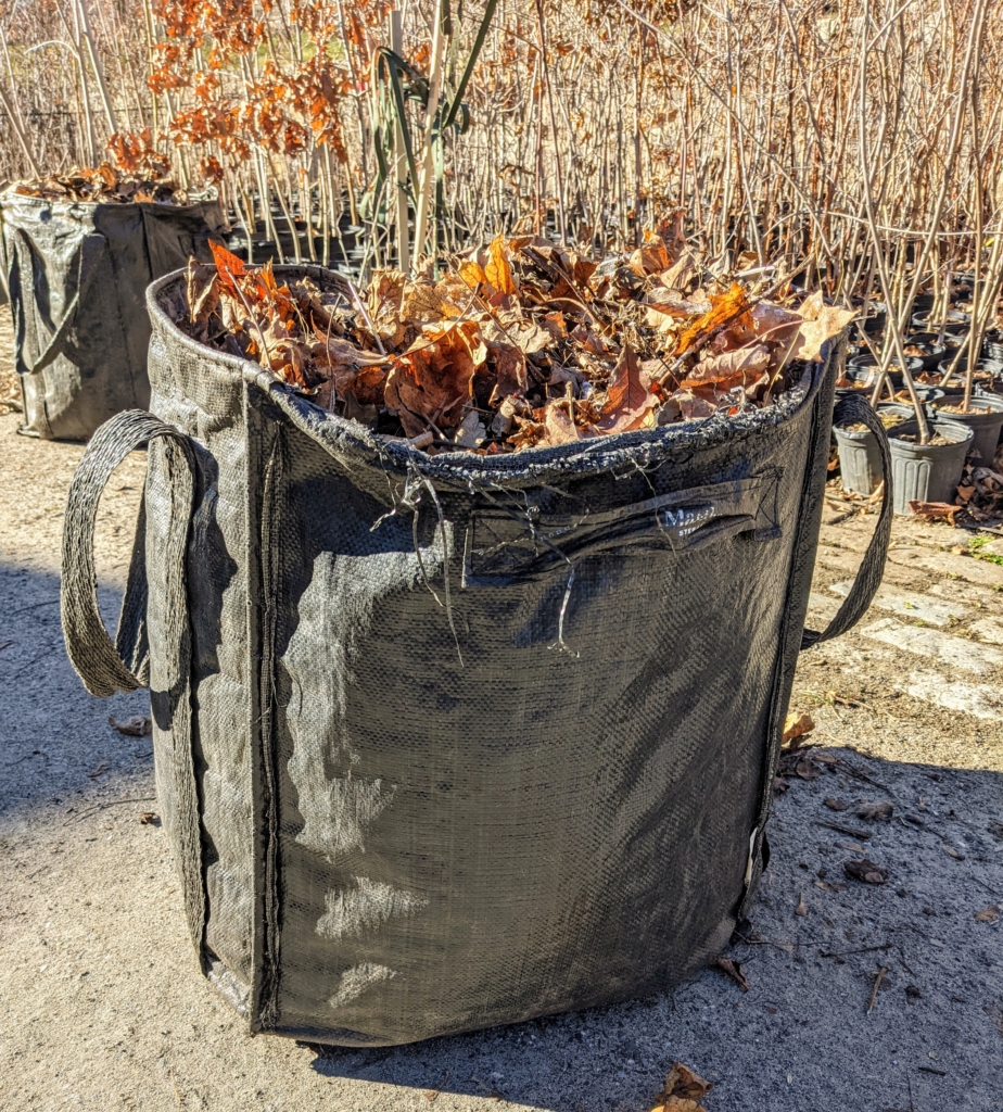 Maintaining Hundreds of Young Trees - The Martha Stewart Blog