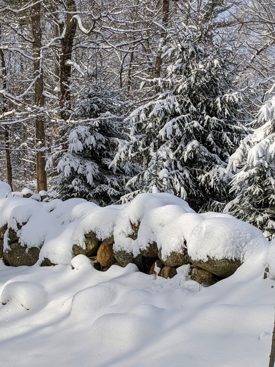 Beautiful Snow Covers My Farm - The Martha Stewart Blog