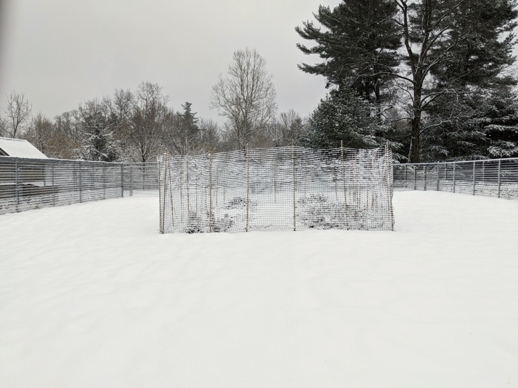 A Fresh Coating of Snow at My Farm - The Martha Stewart Blog