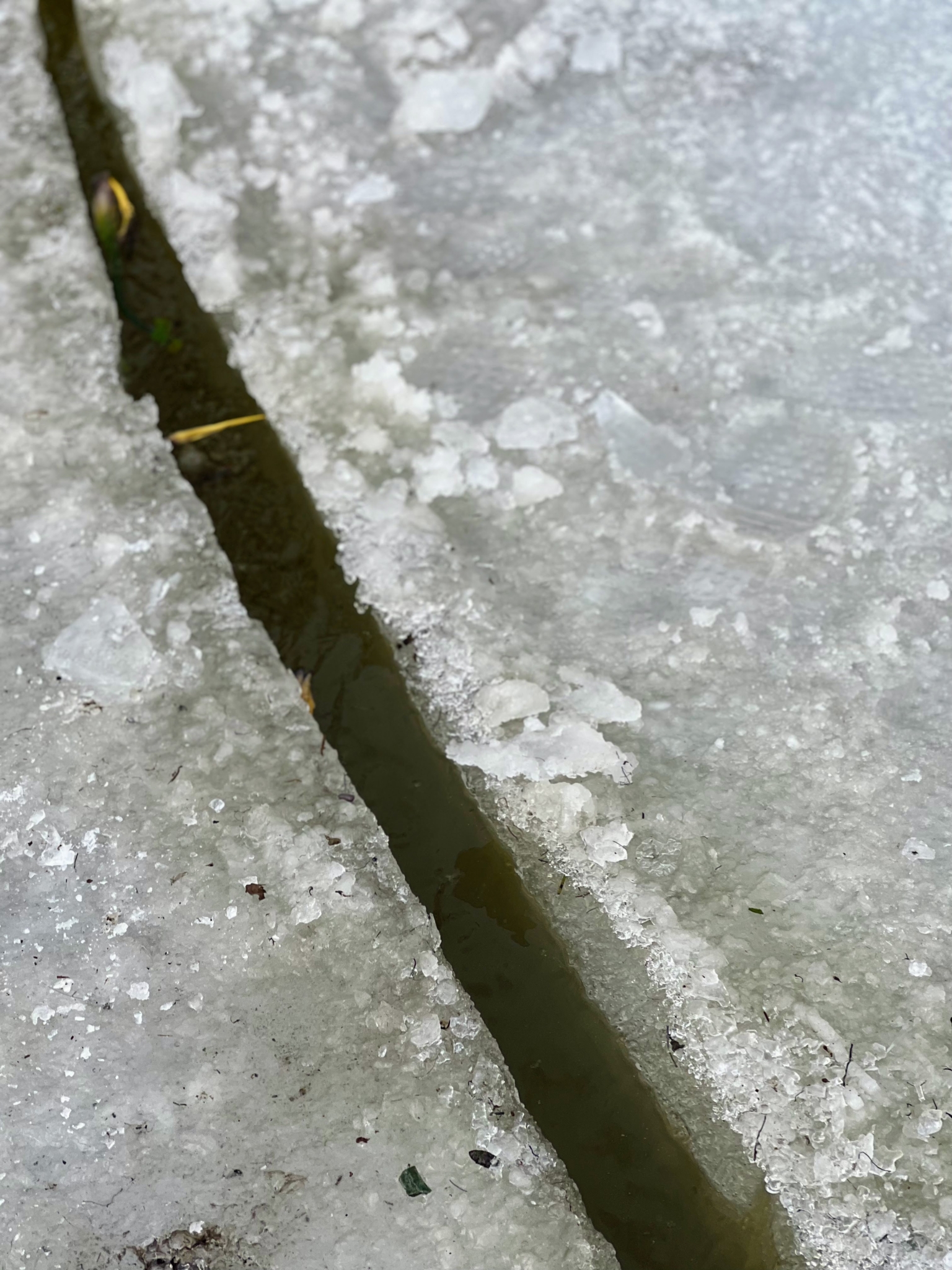 Making an Ice Carousel in Maine - The Martha Stewart Blog