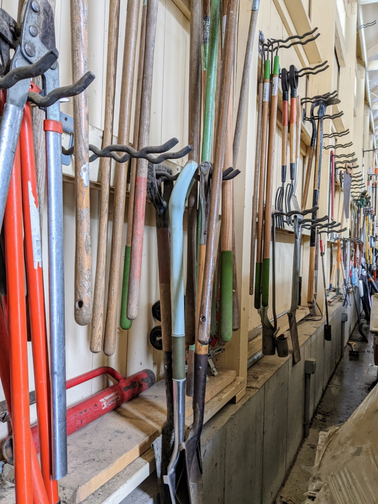 The Martha Stewart Blog : Blog Archive Early Spring Cleaning in My ...