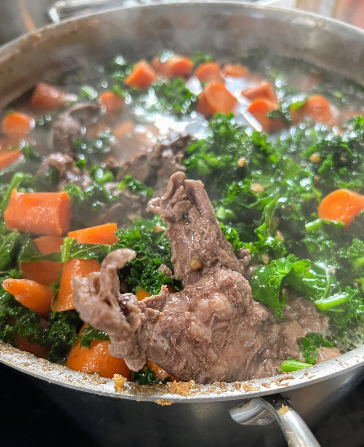 Making Delicious Food for My Dogs - The Martha Stewart Blog