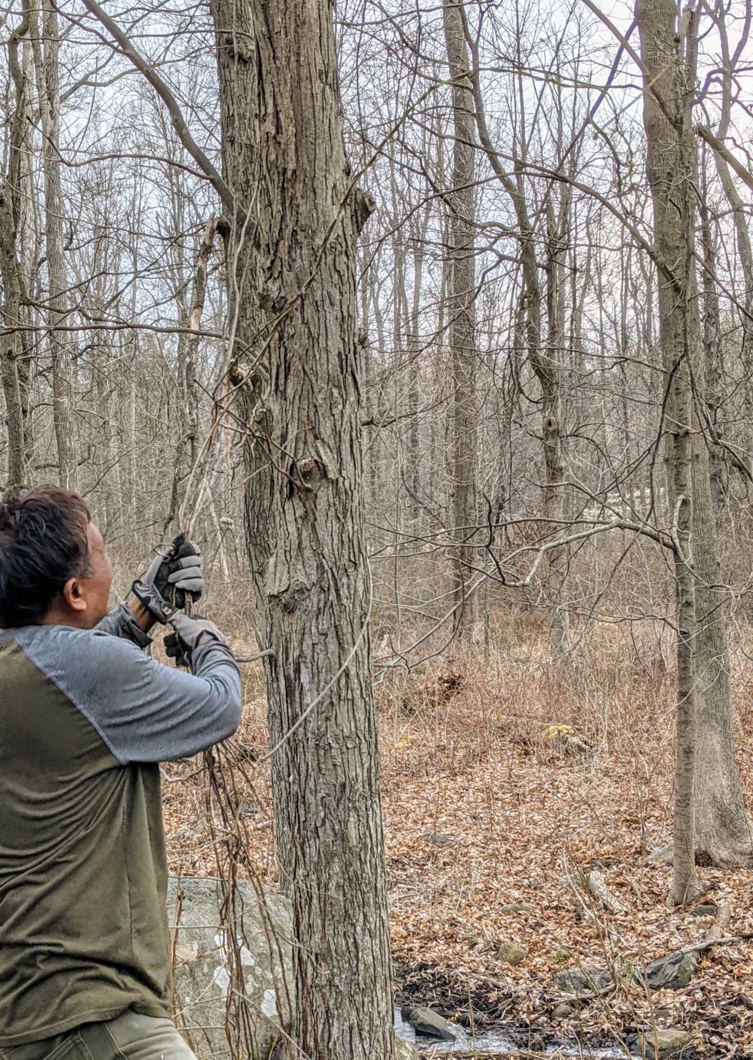 Early Season Chores Around the Farm - The Martha Stewart Blog