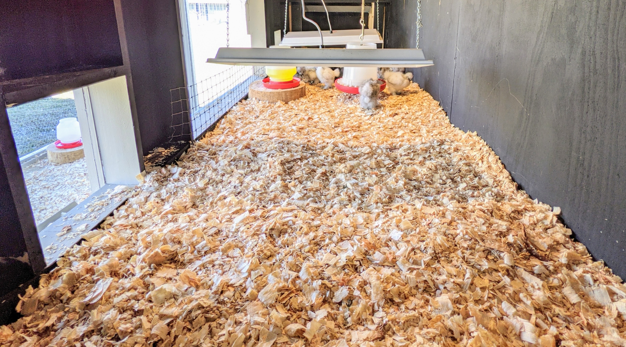 The Silkies Move Outdoors to a New Coop - The Martha Stewart Blog