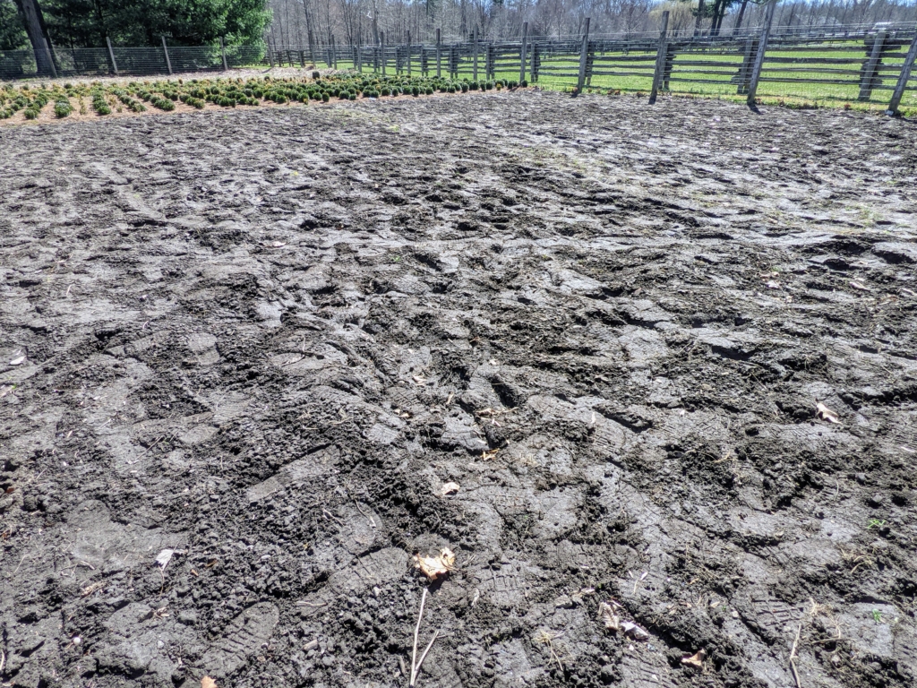 Rototilling and Preparing the Vegetable Gardens for Planting - The ...