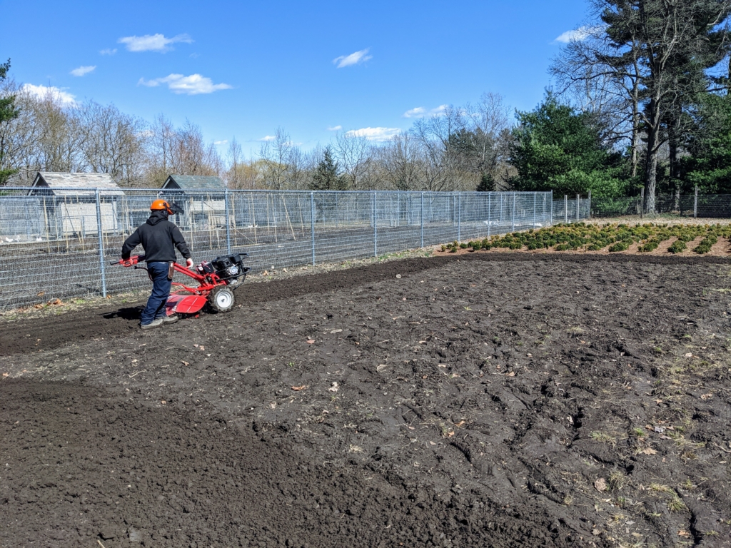 Rototilling and Preparing the Vegetable Gardens for Planting - The ...