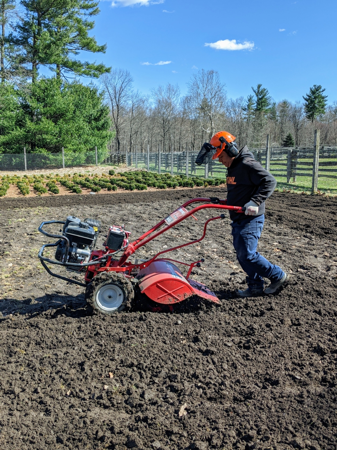 Rototilling and Preparing the Vegetable Gardens for Planting - The ...