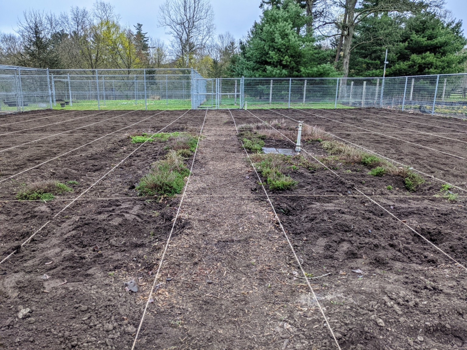 Rototilling and Preparing the Vegetable Gardens for Planting - The ...