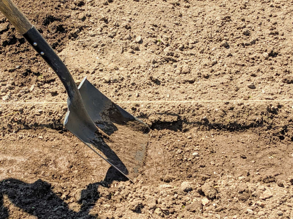 Rototilling and Preparing the Vegetable Gardens for Planting - The ...