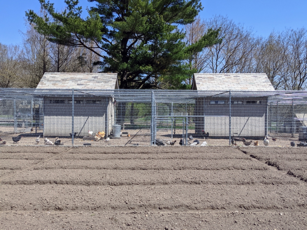 Rototilling and Preparing the Vegetable Gardens for Planting - The ...